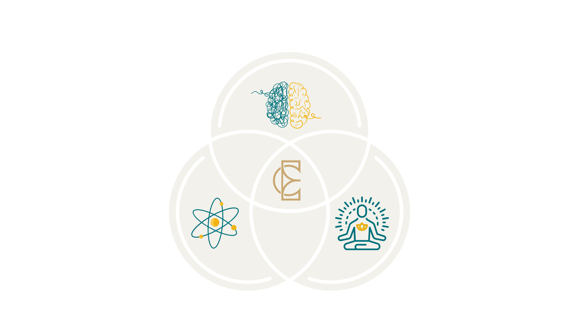 Our Work - The Essence Code